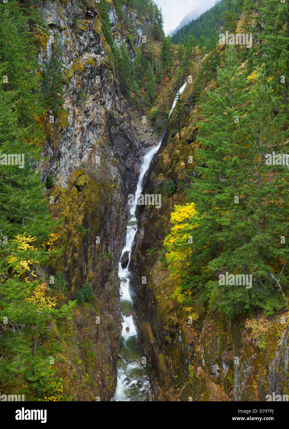 Ross Lake National Recreation Area, Washington: Waterfalls flowing in ...