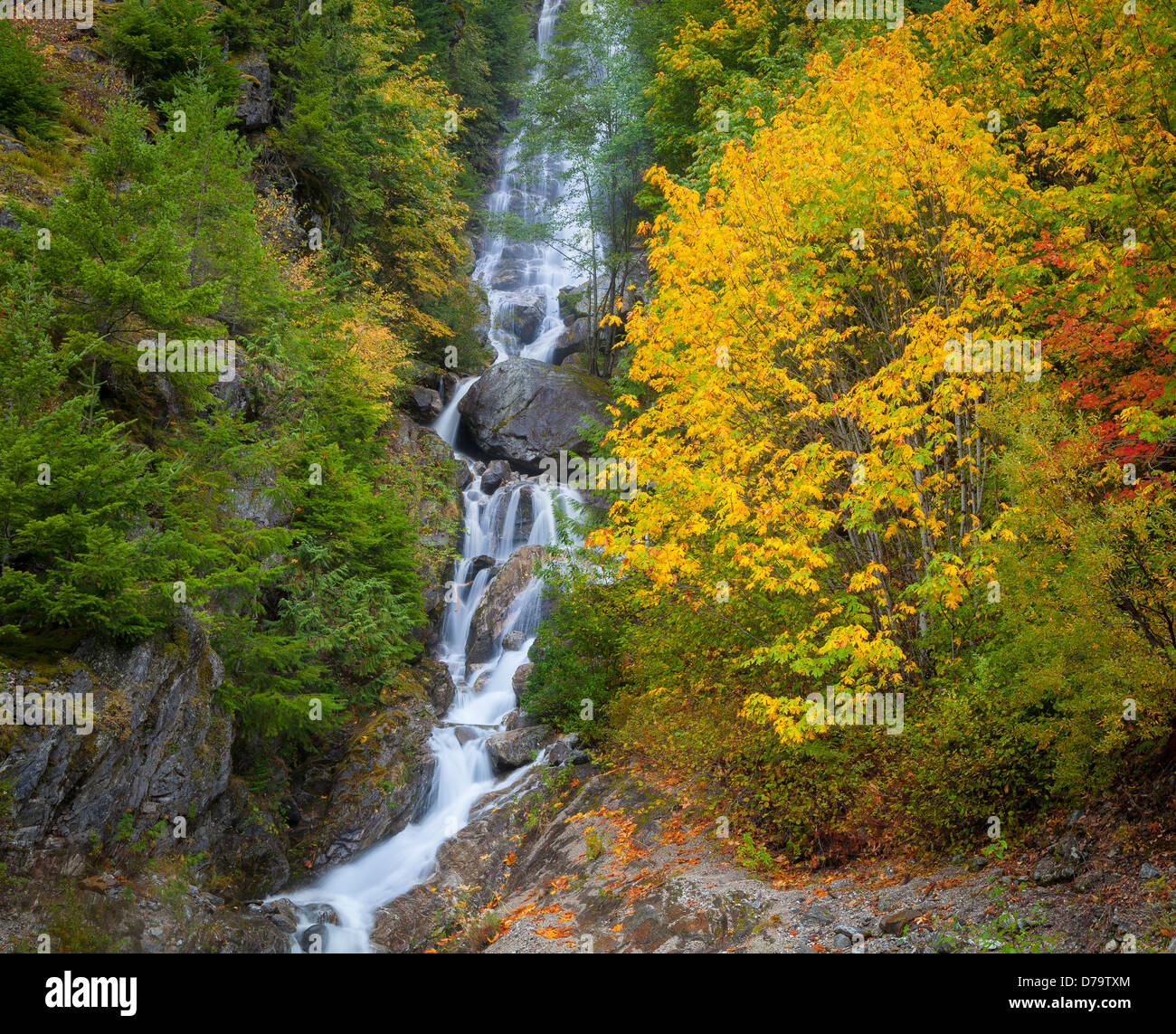 Ross Lake National Recreation Area, Washington: Waterfalls flowing in ...