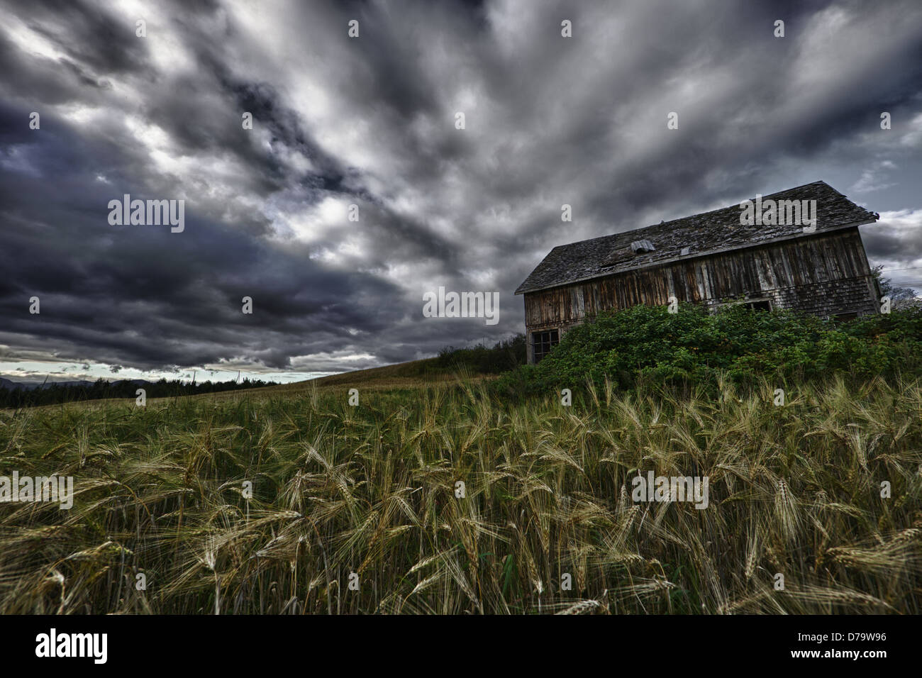 Old barn quebec canada hi-res stock photography and images - Alamy