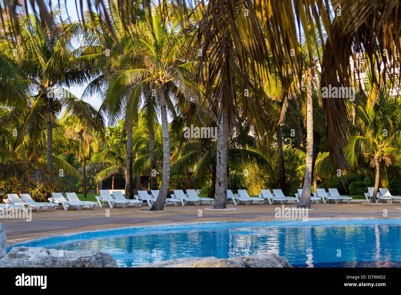 Swimming pool at the vacation resort in Mexico Stock Photo - Alamy