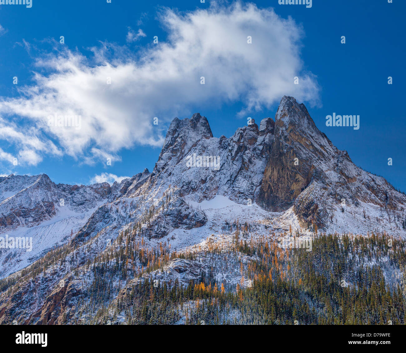Okanogan national forest hi-res stock photography and images - Alamy