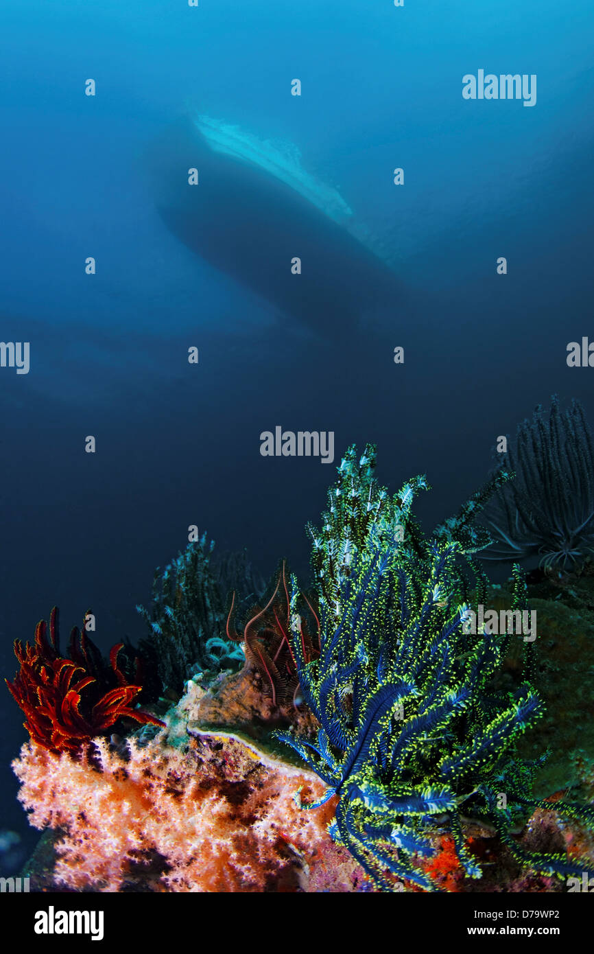 Tunku Abdul Rahman Marine Park Stock Photos & Tunku Abdul Rahman Marine ...