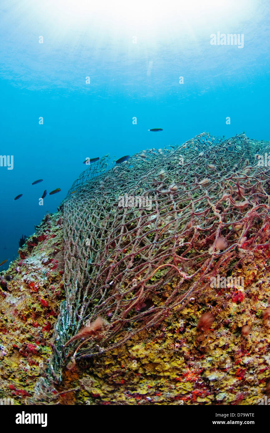 Fishing Net Caught on Rock Stock Photo - Alamy