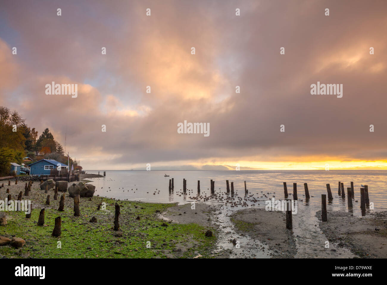 Vashon island hi-res stock photography and images - Alamy