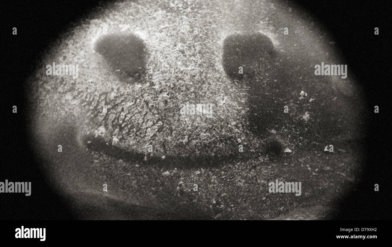 Campylobacter bacteria hi-res stock photography and images - Alamy