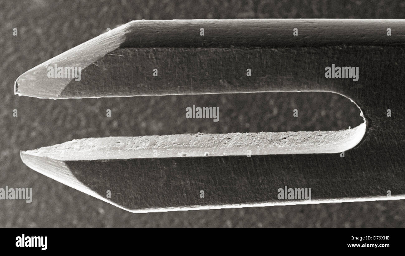 Smallpox Vaccine Needle