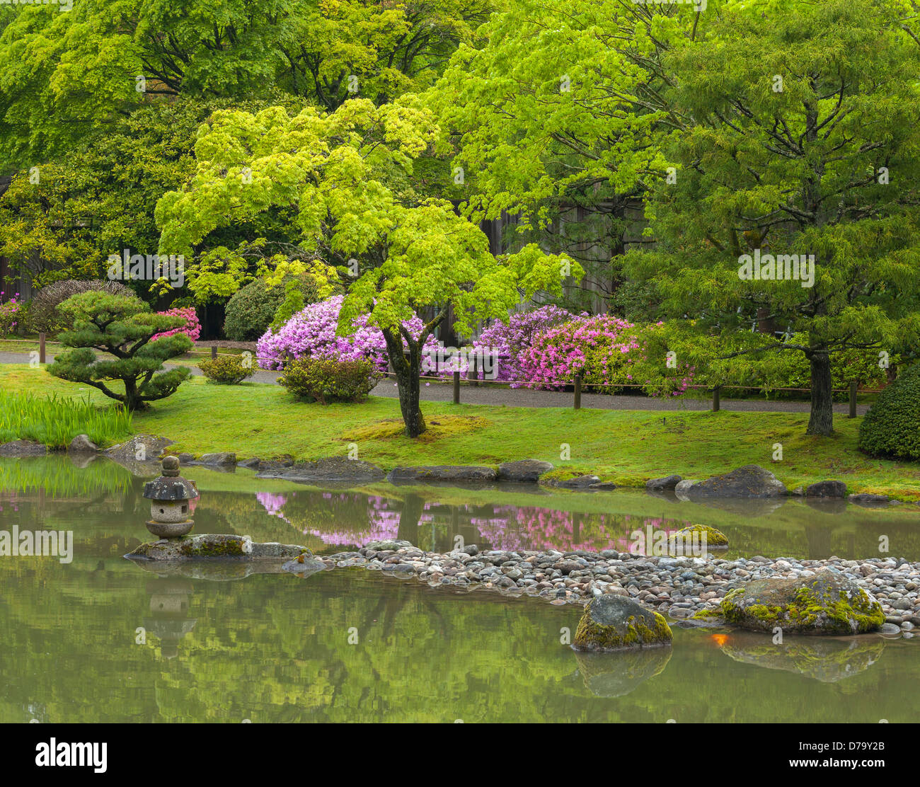 Seattle, WA: Spring view of the lake of the Japanese Garden in ...