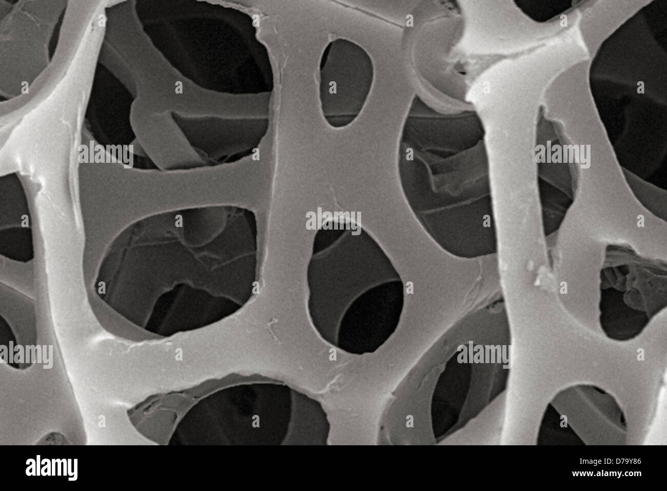 Microscopic detail rayon swab hi-res stock photography and images - Alamy