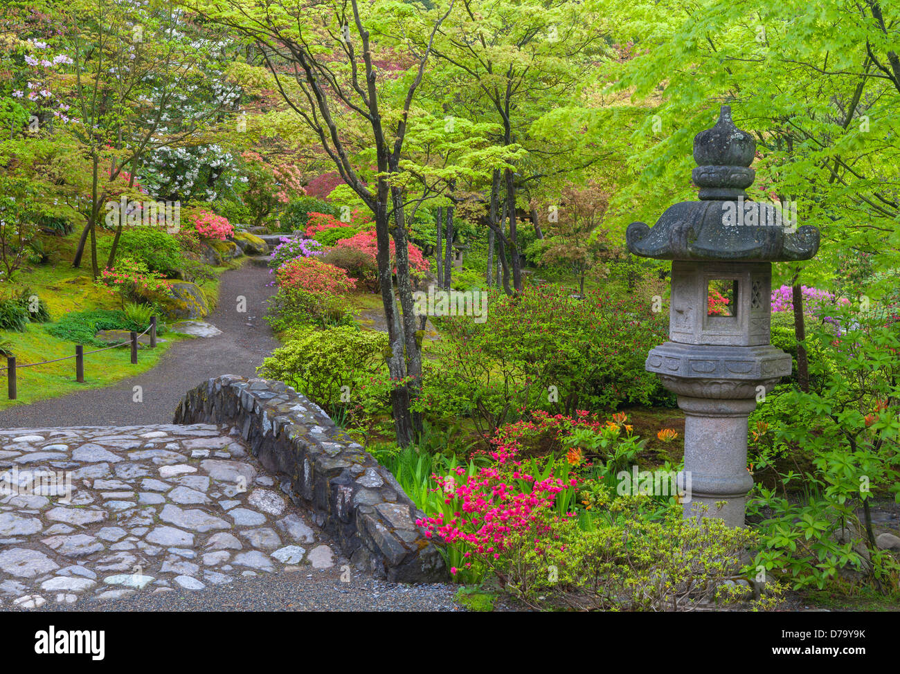 Seattle, WA: Stone bridge and lantern with spring colors in the ...