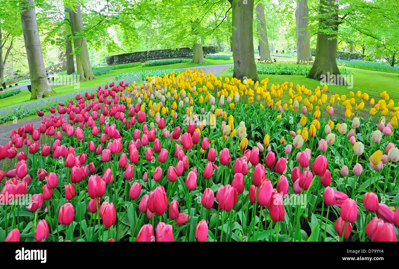 Spring flower display in green park hi-res stock photography and images ...