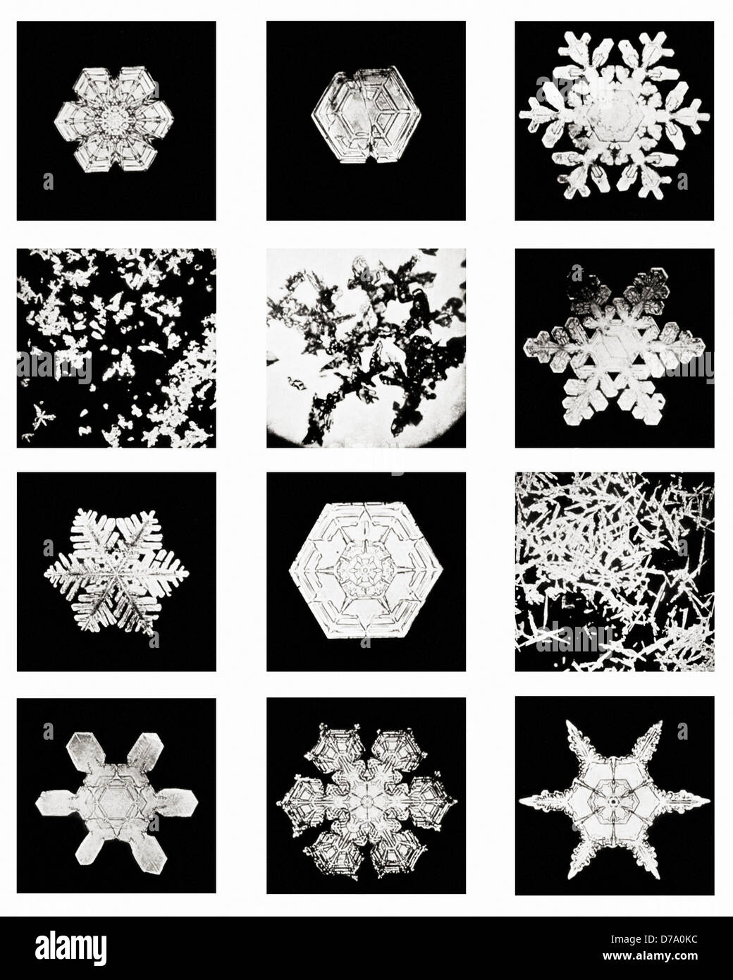 Plate I Studies Among Snow Crystals Stock Photo - Alamy