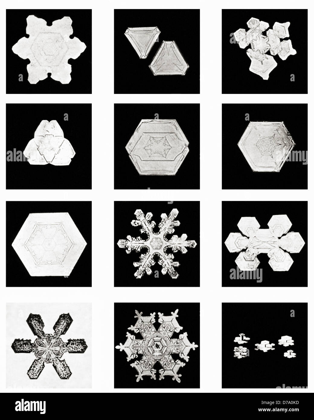Plate II Studies Among Snow Crystals Stock Photo - Alamy