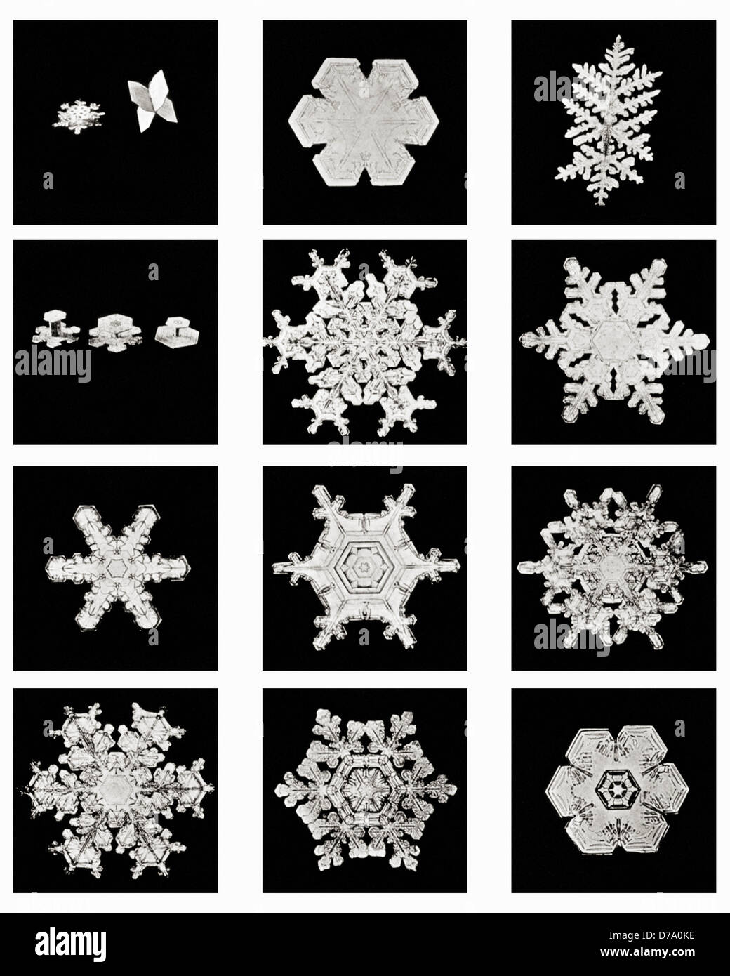Plate III Studies Among Snow Crystals Stock Photo - Alamy