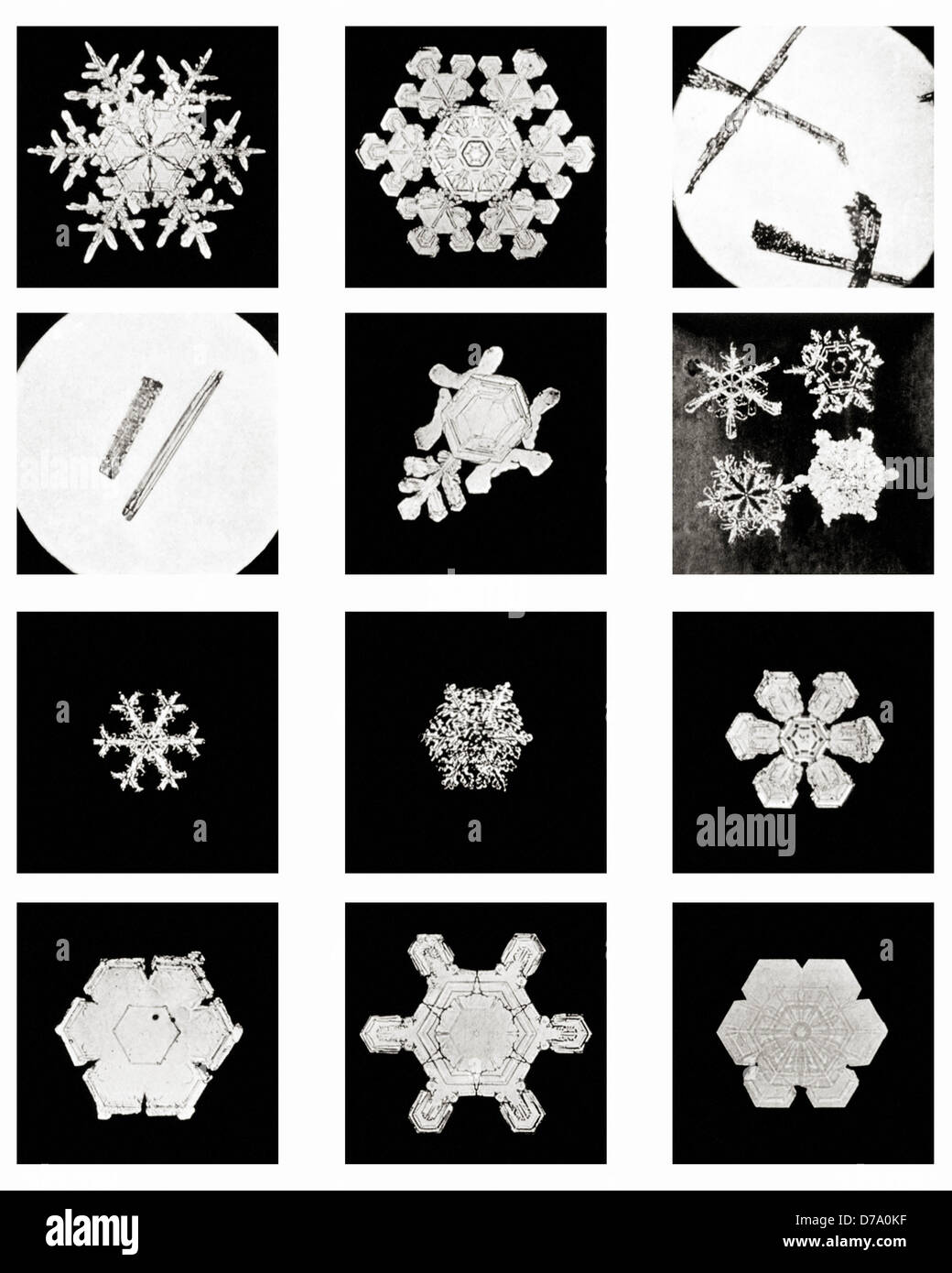 Plate iv of hi-res stock photography and images - Alamy