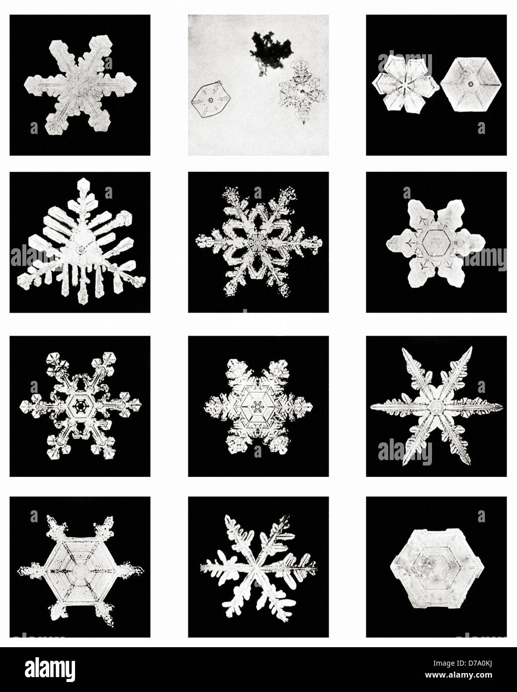 Plate VI Studies Among Snow Crystals Stock Photo - Alamy