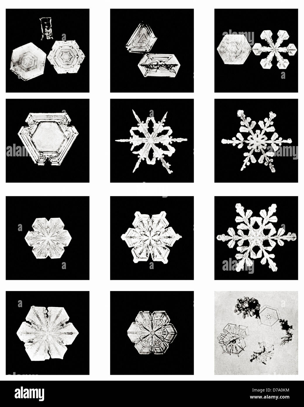 Plate VIII Studies Among Snow Crystals Stock Photo - Alamy