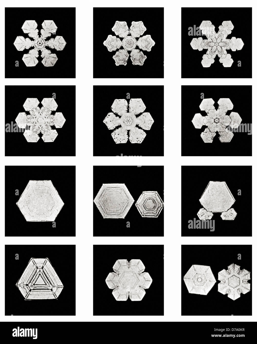 Plate XI Studies Among Snow Crystals Stock Photo - Alamy