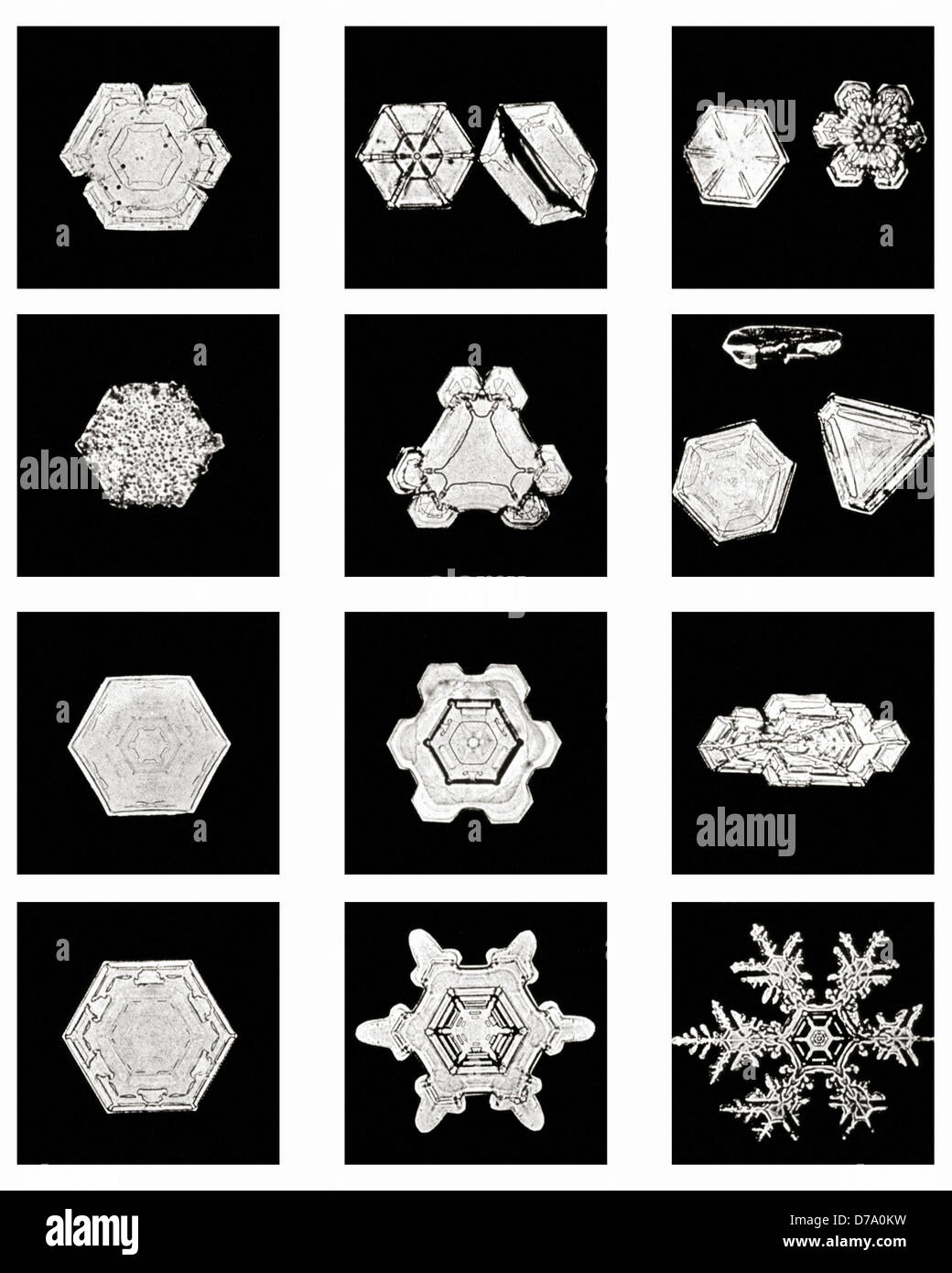 Xii hexagon hi-res stock photography and images - Alamy