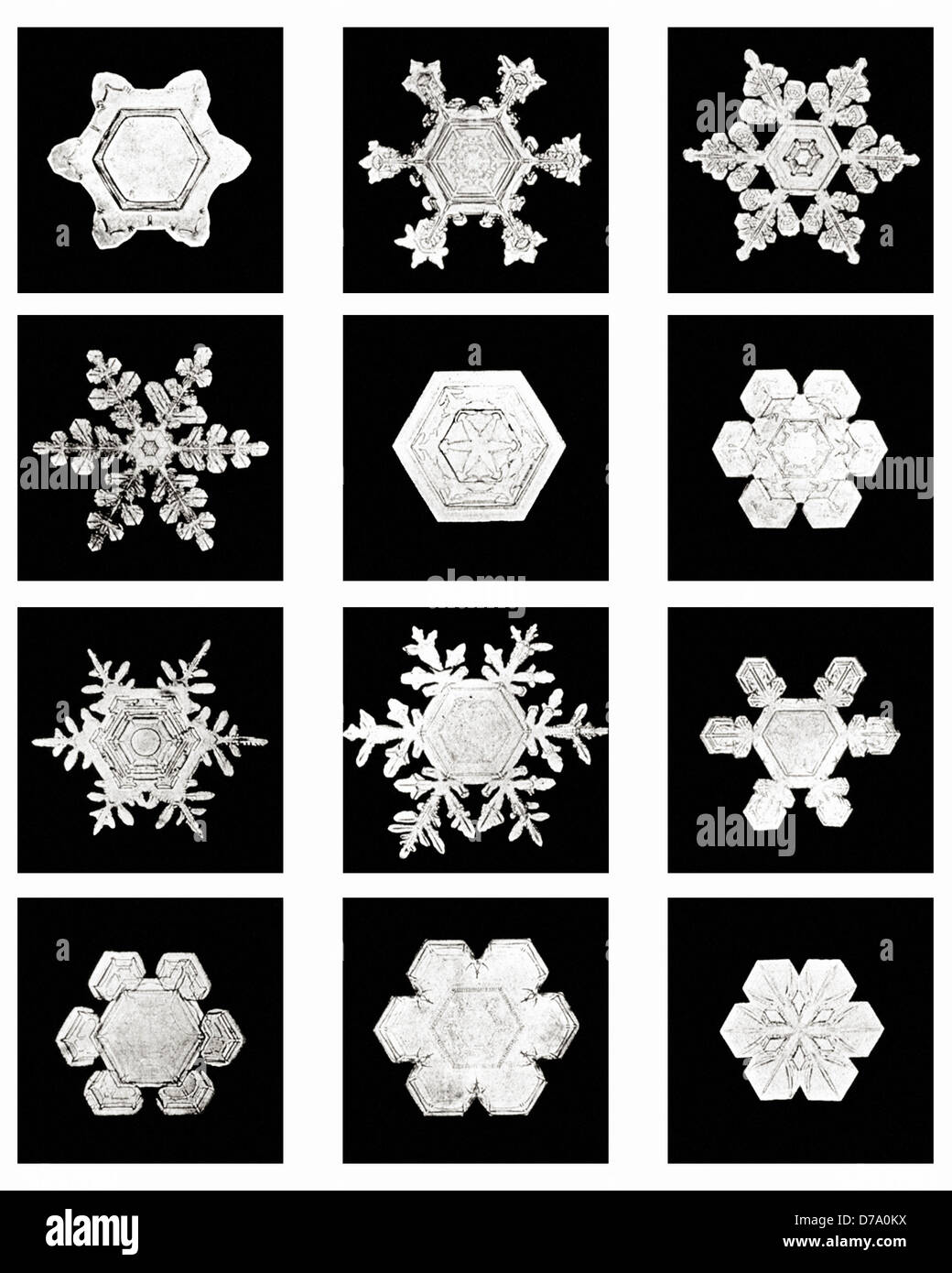 Plate XIII Studies Among Snow Crystals Stock Photo - Alamy