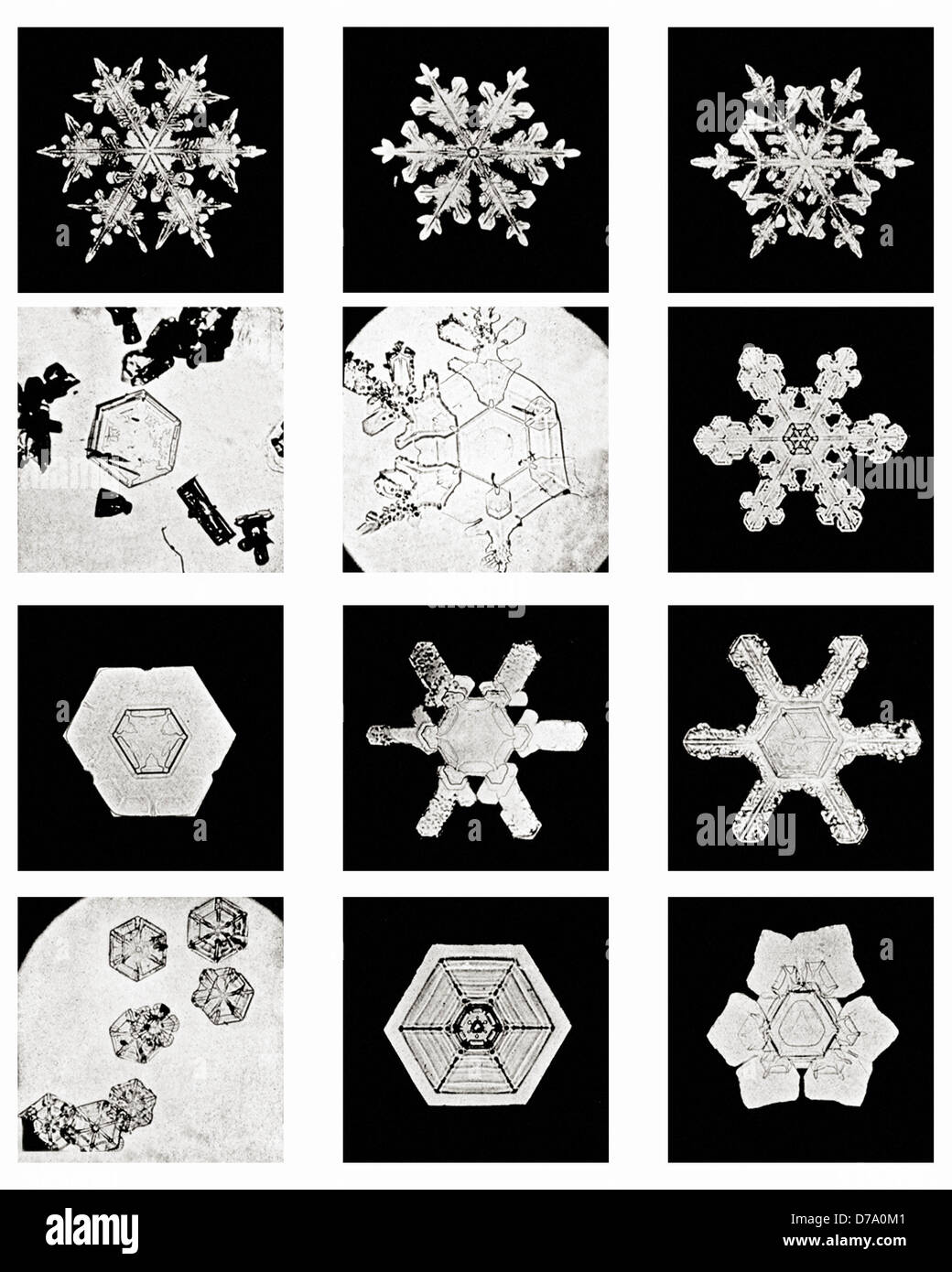 Hexagonal crystals hi-res stock photography and images - Alamy