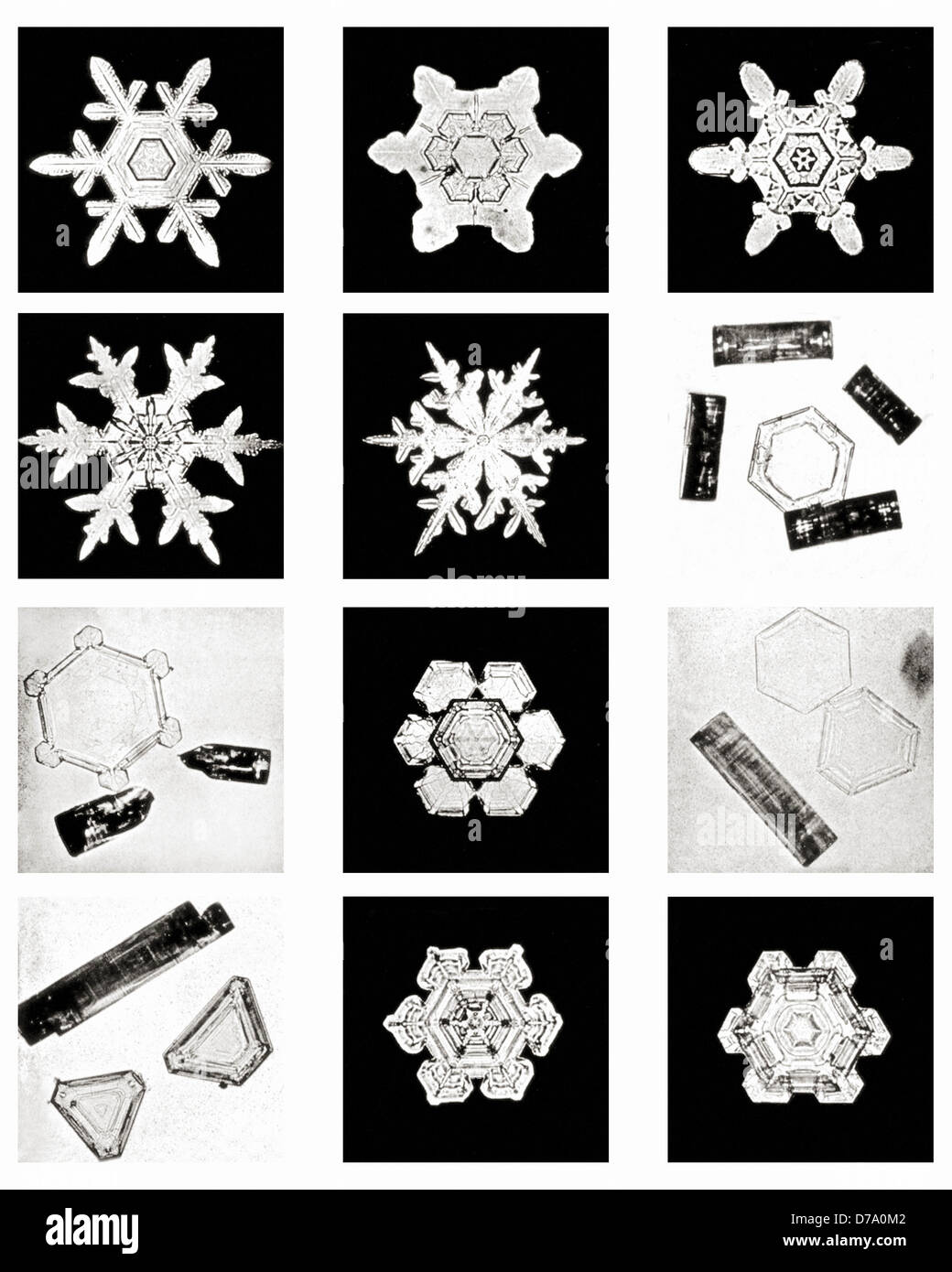 Plate XVI Studies Among Snow Crystals Stock Photo - Alamy