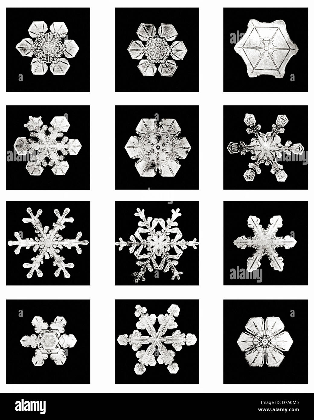 Plate XIX Studies Among Snow Crystals Stock Photo - Alamy