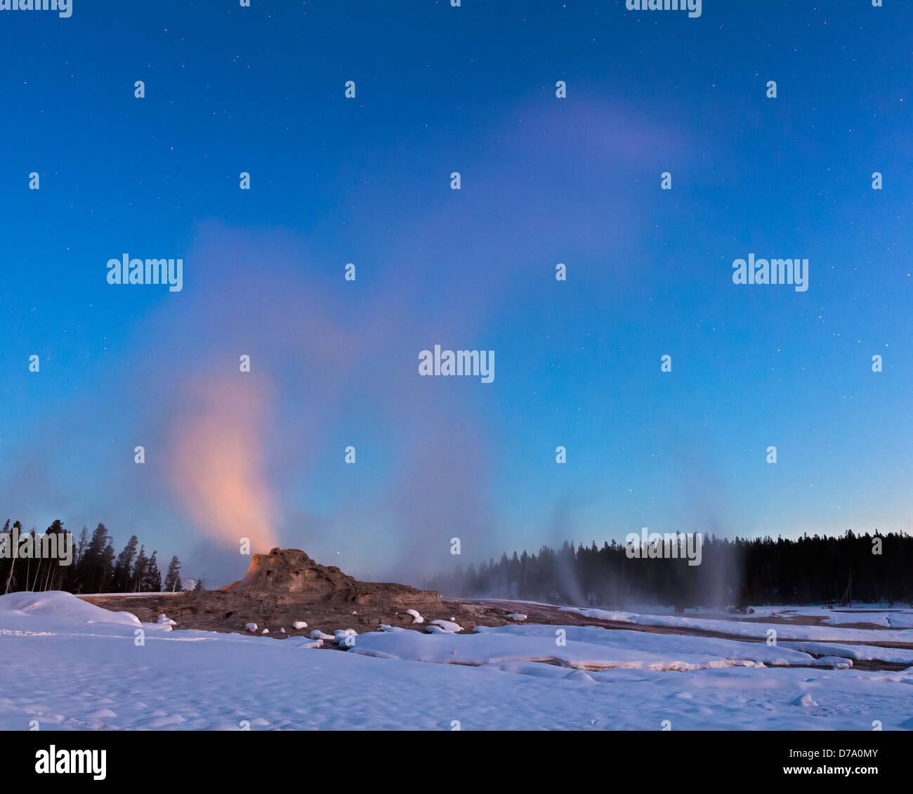 Yellowstone National Park, Wyoming: Castle Geyser in pre-dawn light ...