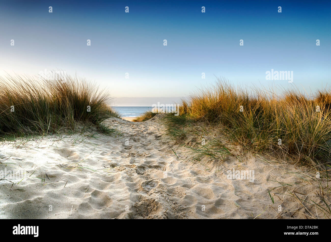 Path leading through sand dunes to the beach at Sandbanks in Poole ...
