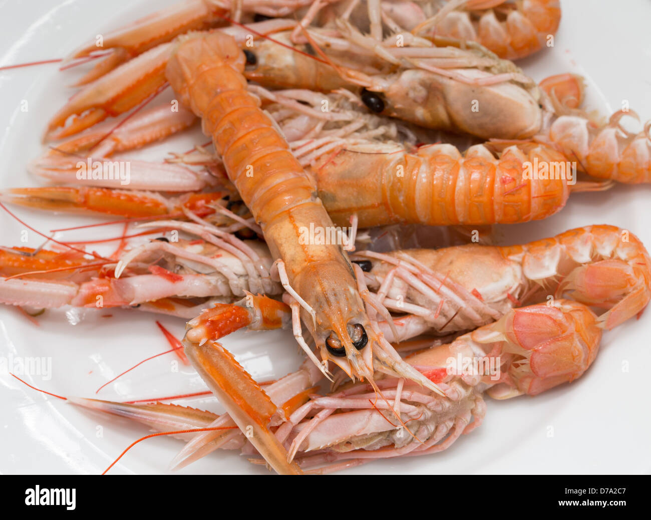plate of crayfish Stock Photo - Alamy