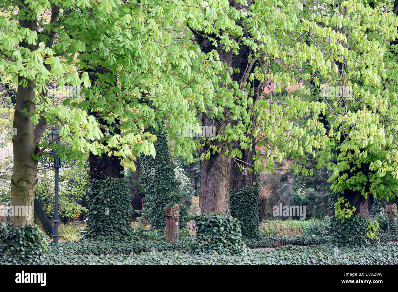 Spring in wroclaw hi-res stock photography and images - Alamy