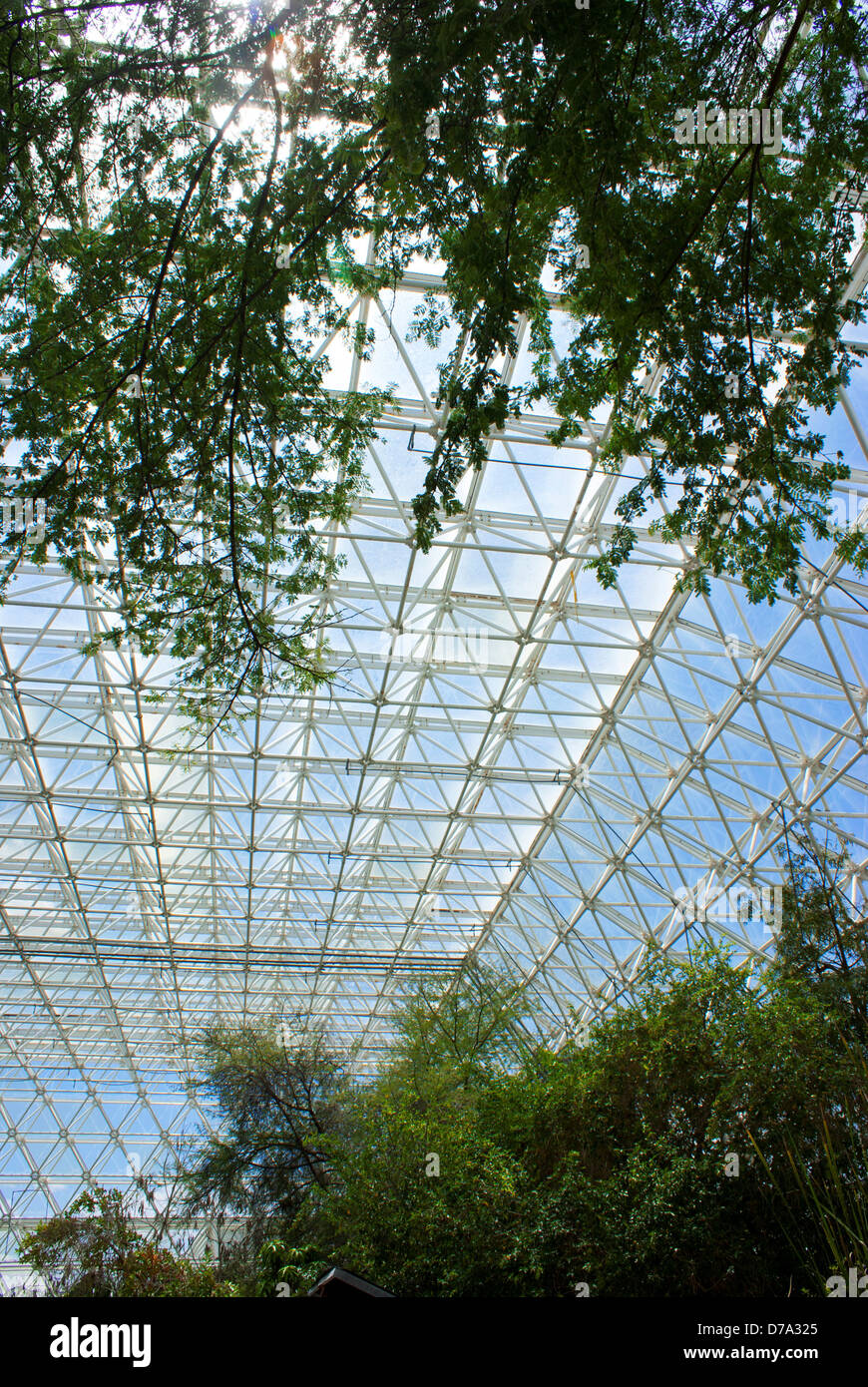 USA Arizona Tucson Biosphere 2 Interior Rainforest Building Stock Photo ...