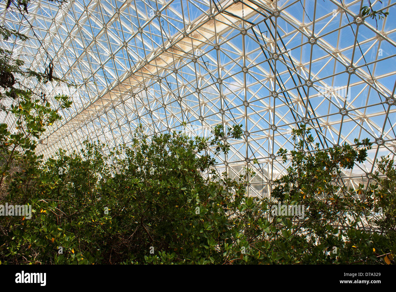 USA Arizona Tucson Biosphere 2 Interior Rainforest Building Stock Photo ...