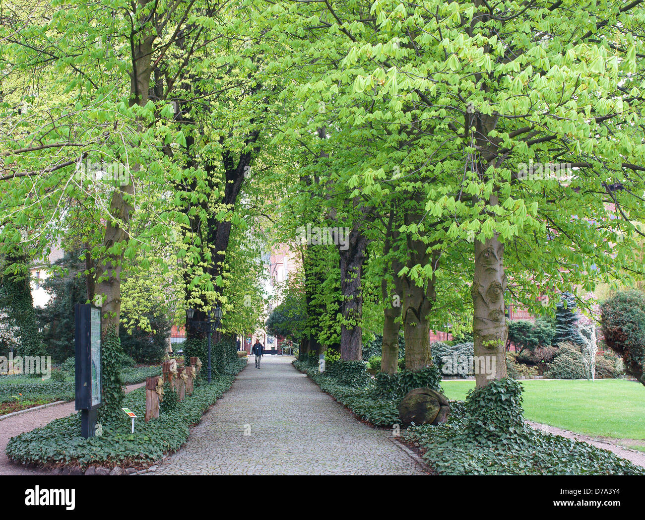 Spring in wroclaw hi-res stock photography and images - Alamy