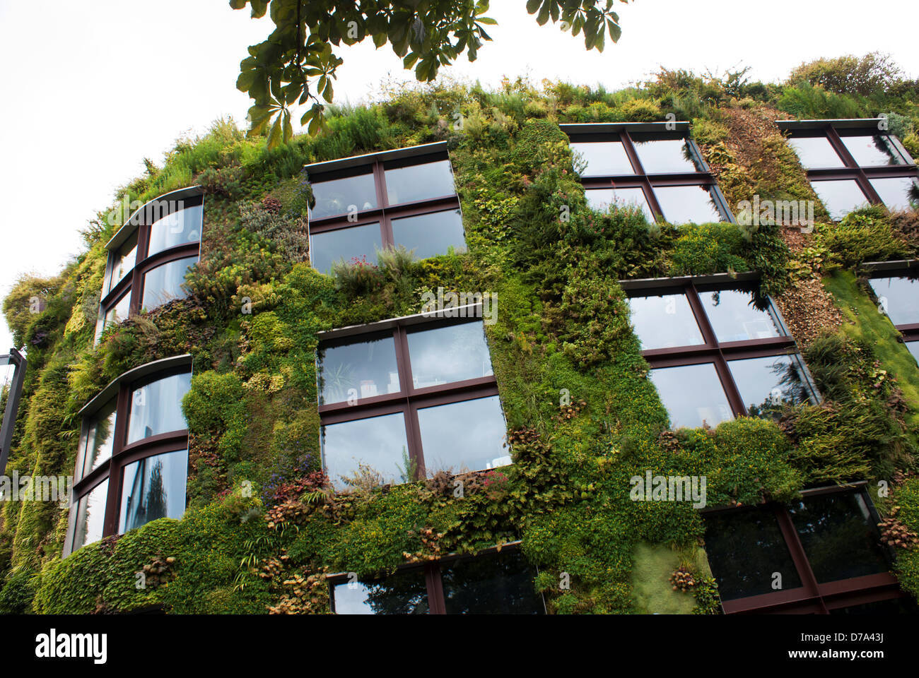 Green building biowall Paris Ile-de-France France Stock Photo - Alamy
