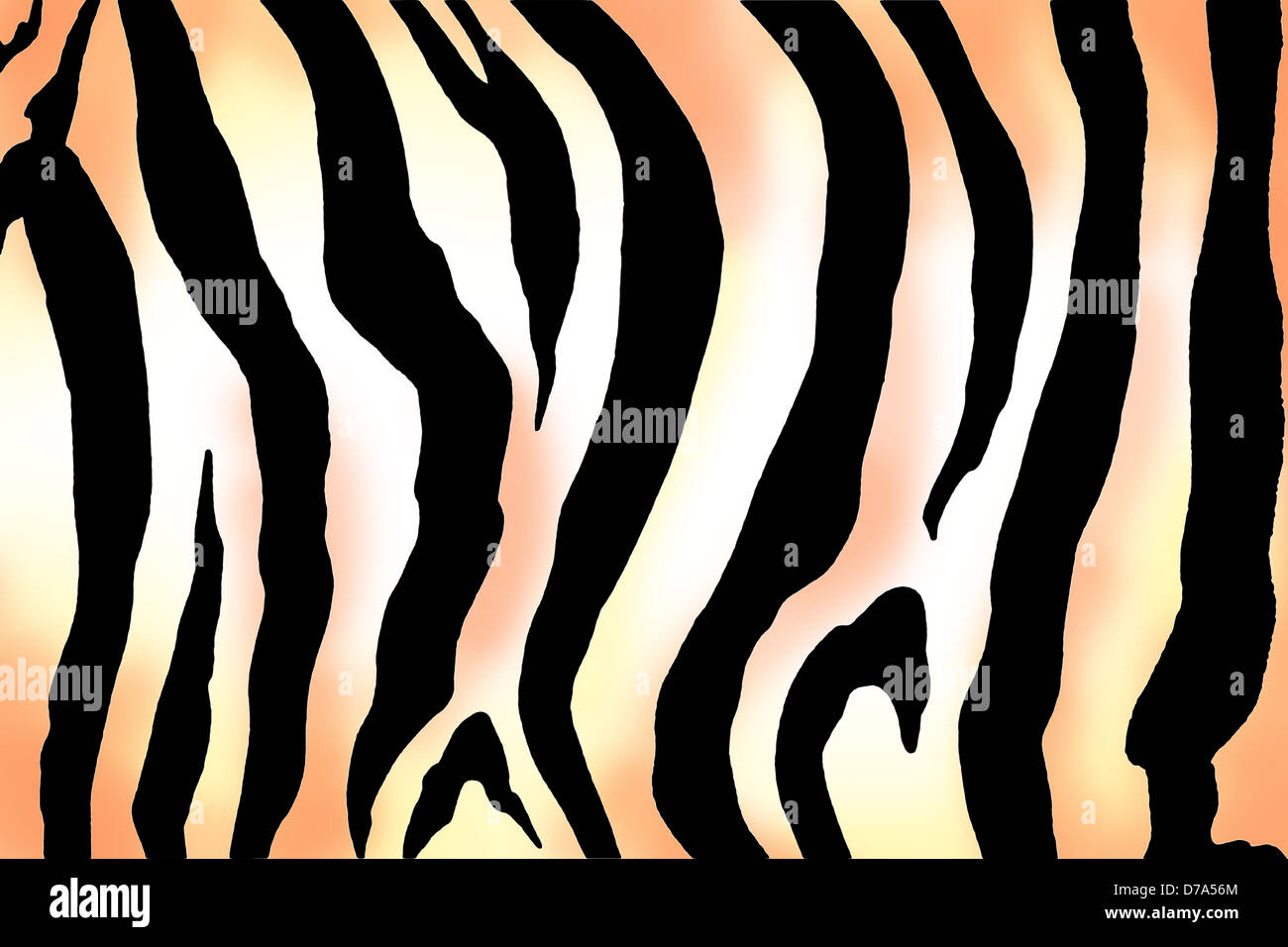 zebra print image Stock Photo - Alamy