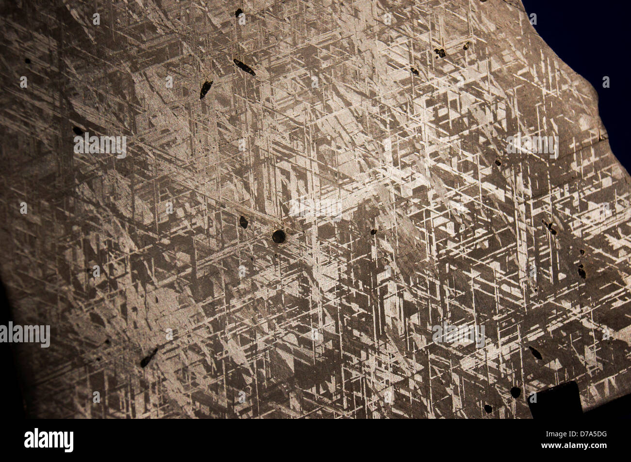 USA California Los Angeles California Science Center Section through ...