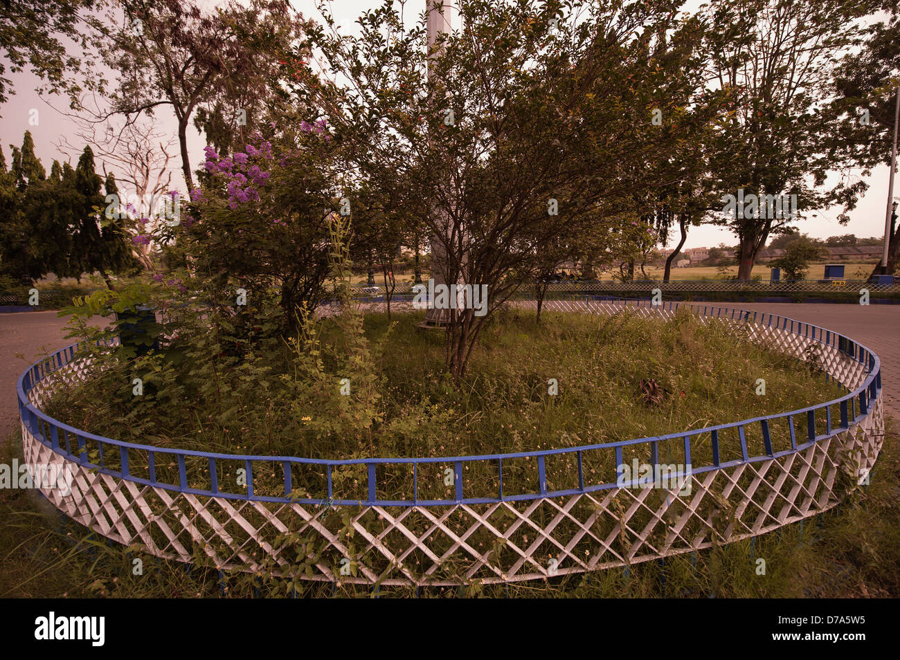 Circular tree [MR] [PH] Stock Photo - Alamy