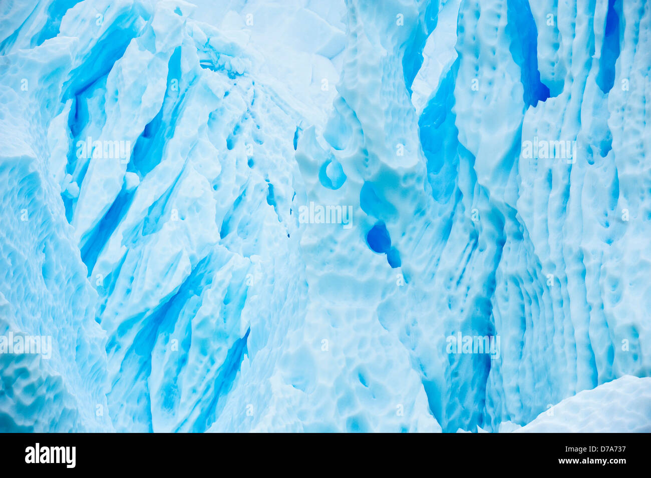 Blue ice icebergs Paradise Harbor Antarctic Peninsula Antarctica Stock ...