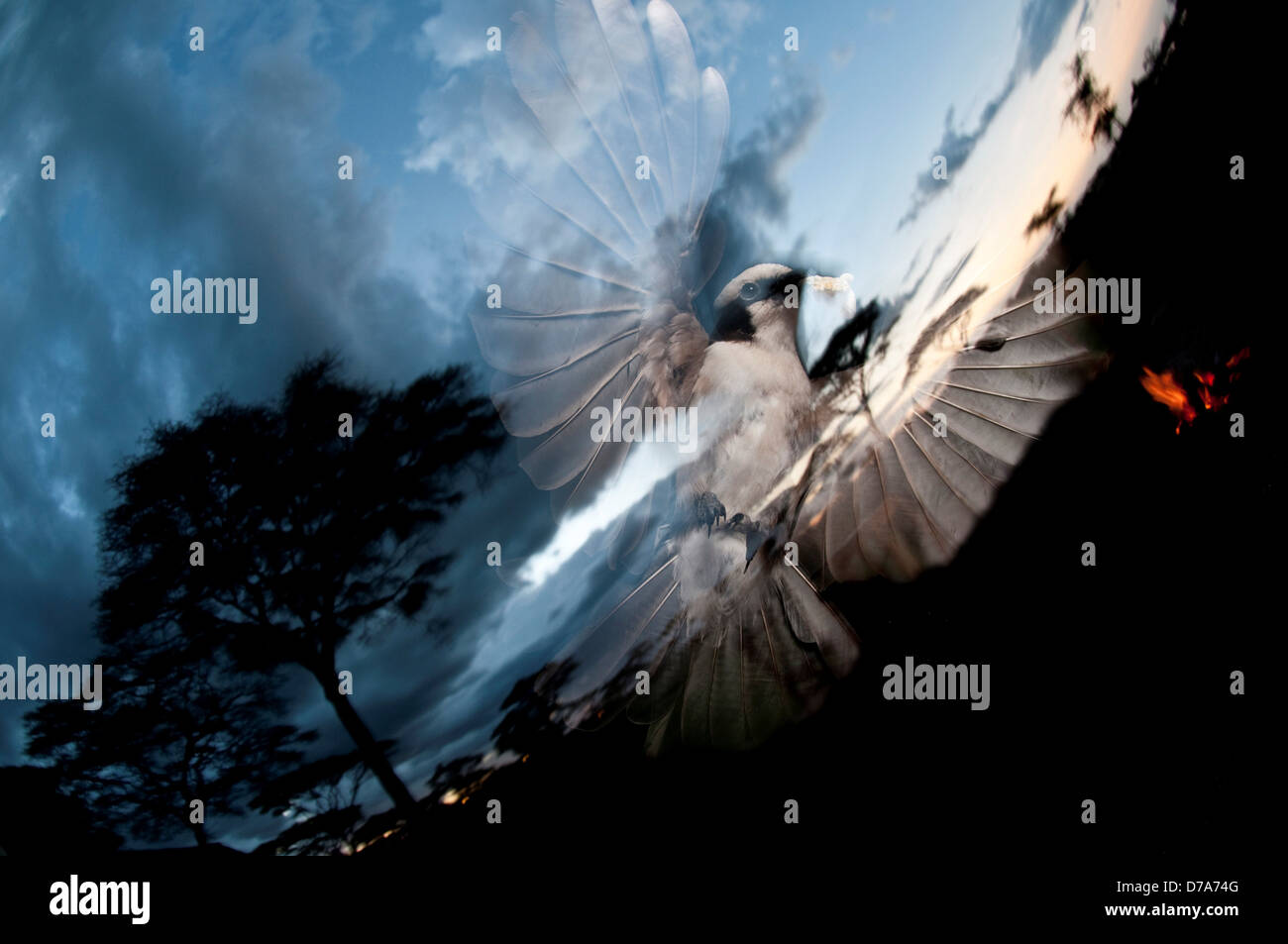 Ndutu safari lodge motion hi-res stock photography and images - Alamy