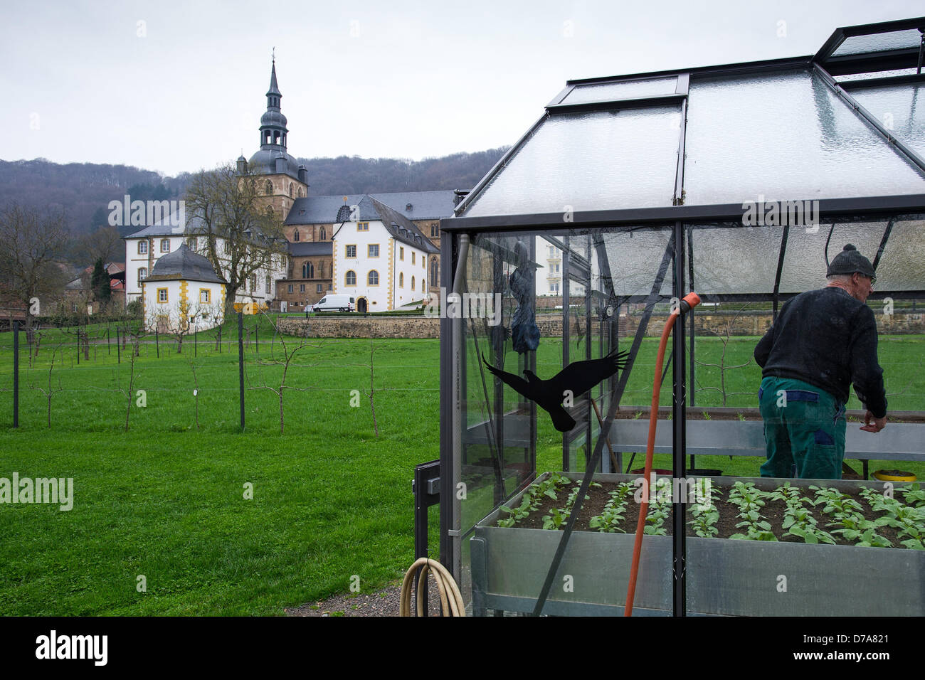 A monk works in a greenhouse in one of Germany's oldest monasteries ...