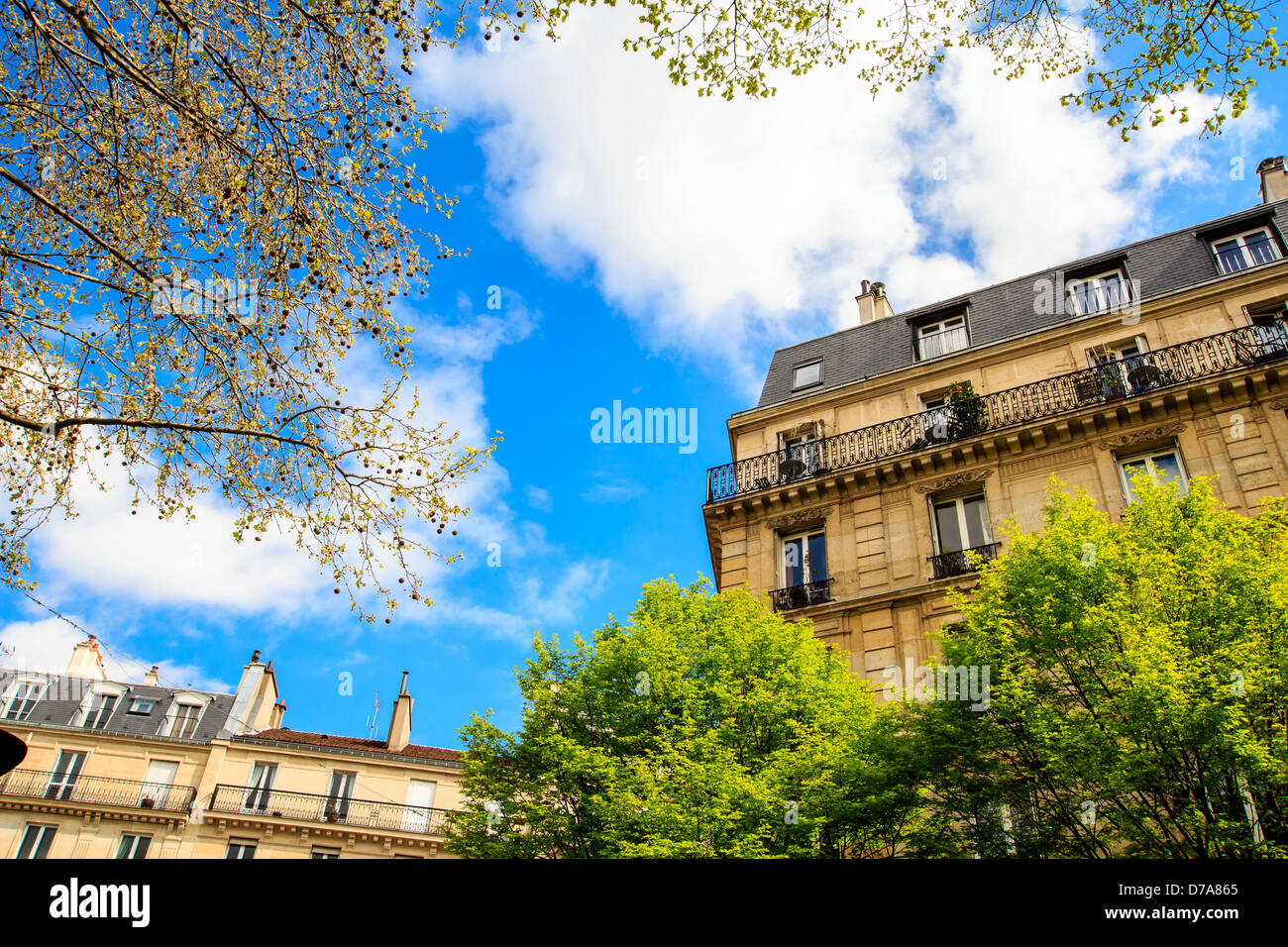 Typical Parisian buildings in the central district against clear blue ...