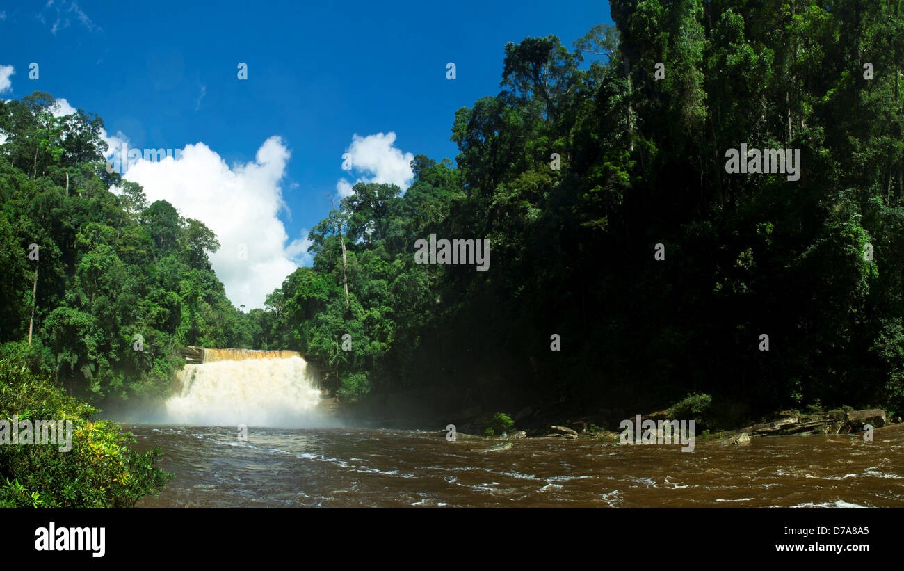Maliau basin conservation area hi-res stock photography and images - Alamy