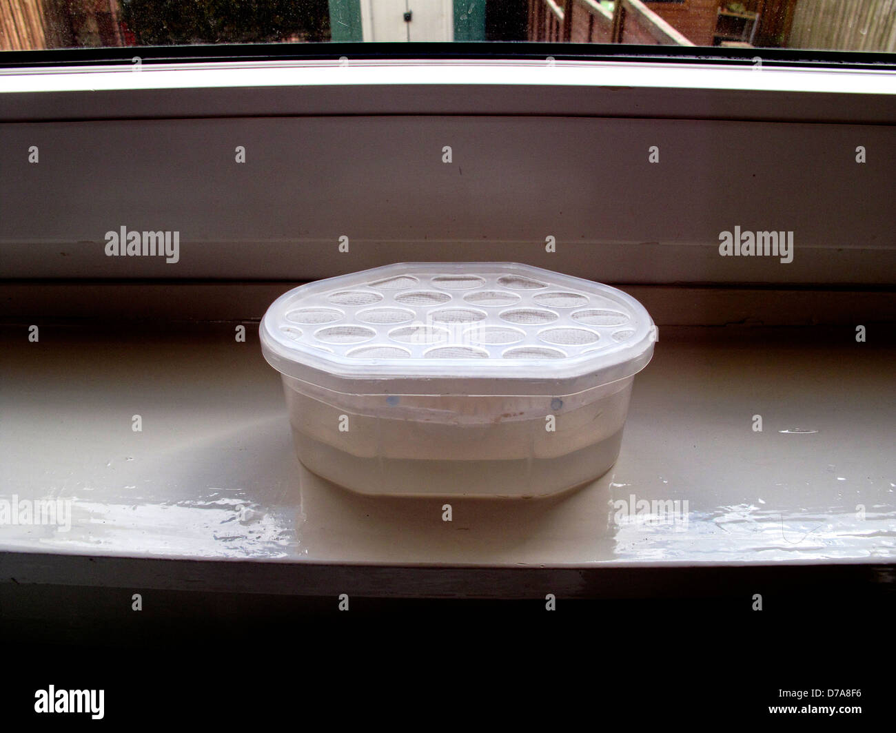 Disposable de-humidifier on window sill Stock Photo - Alamy