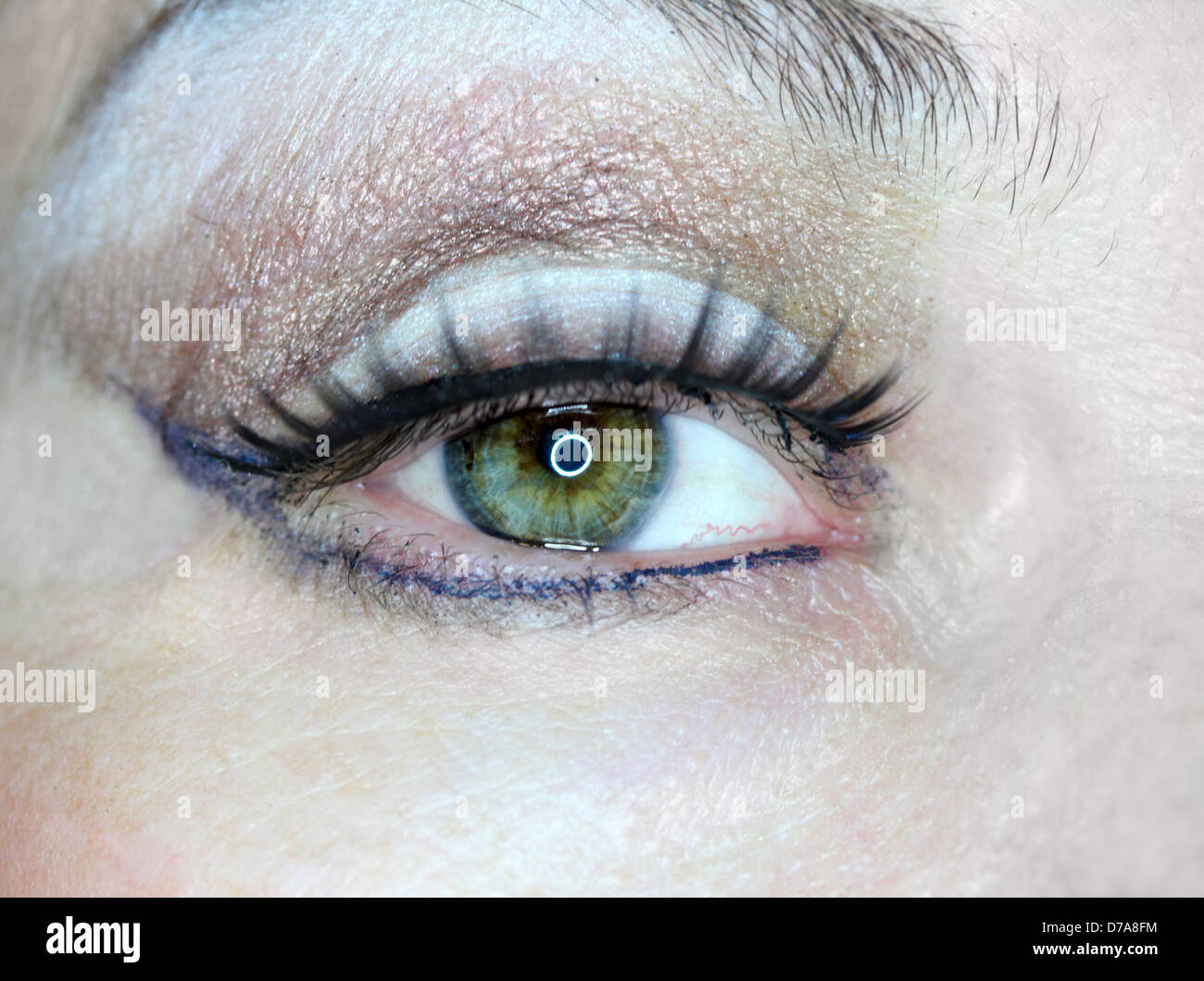 female eye macro Stock Photo - Alamy