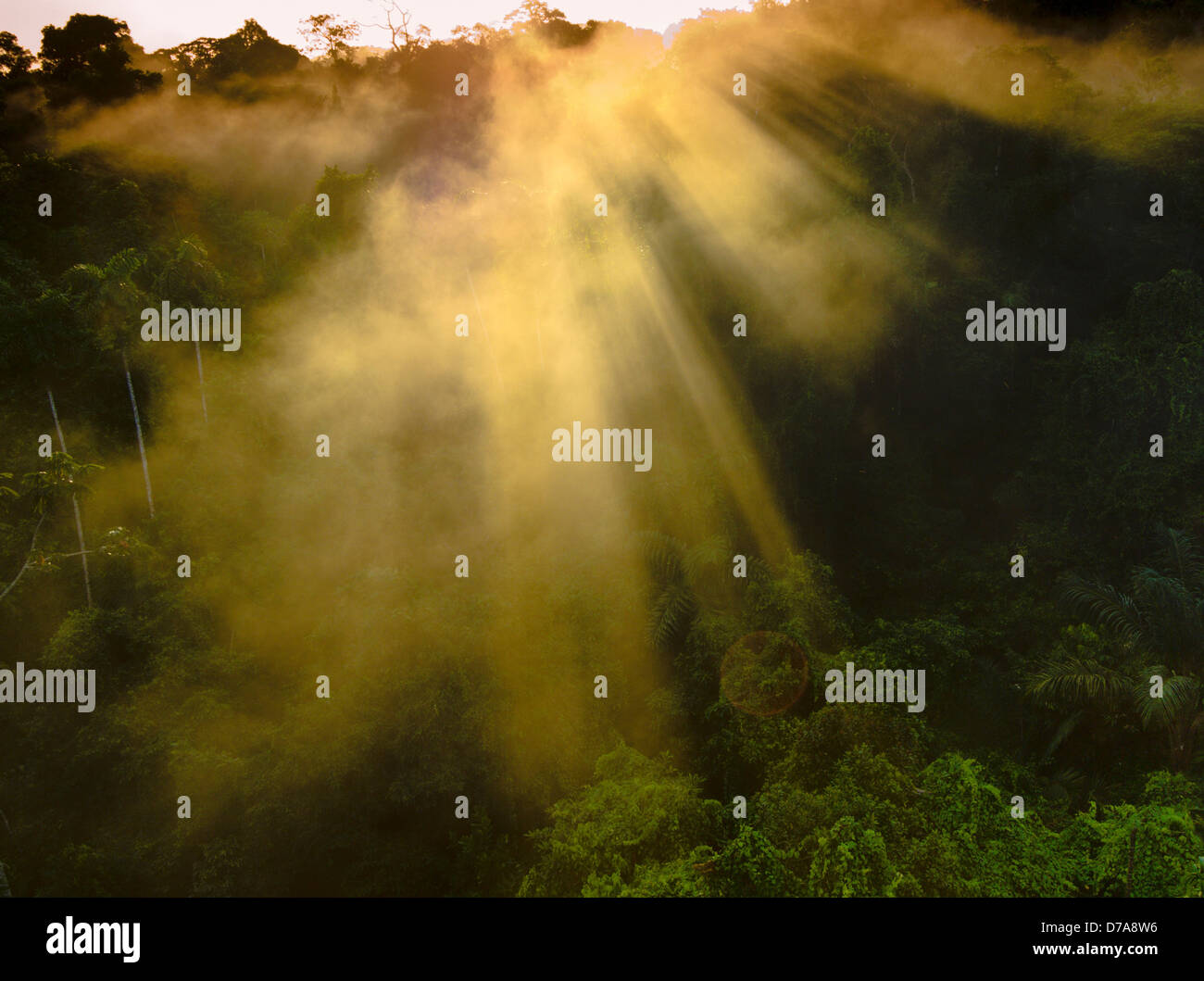 Sun beams sun rise over rainforest near Napo River Ecuador Stock Photo ...