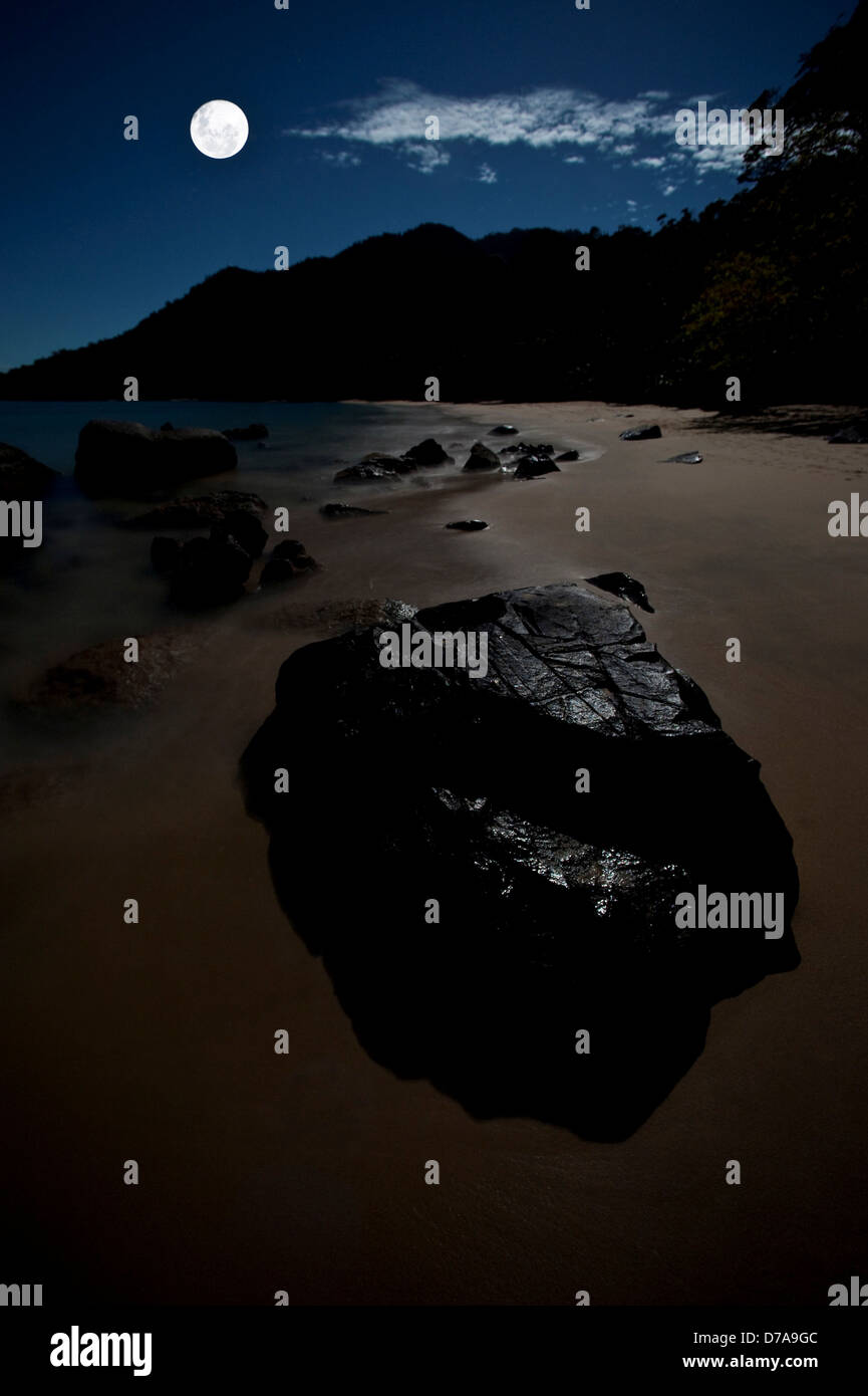 Moon over Bay Antongil shoreline lowland rainforest Masoala National ...