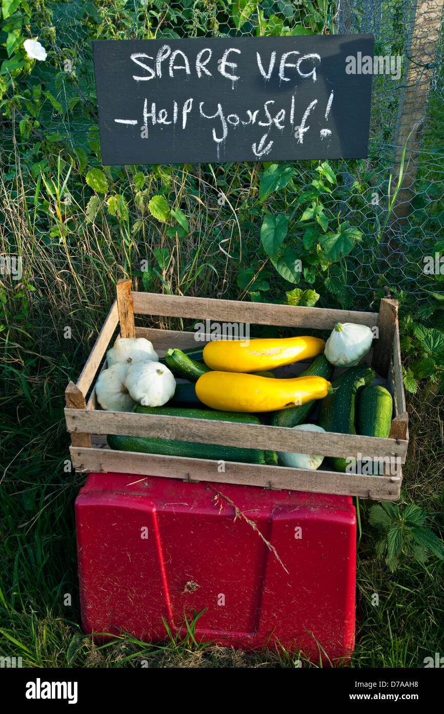 A box of vegetables and sign offering spare produce at an allotment ...