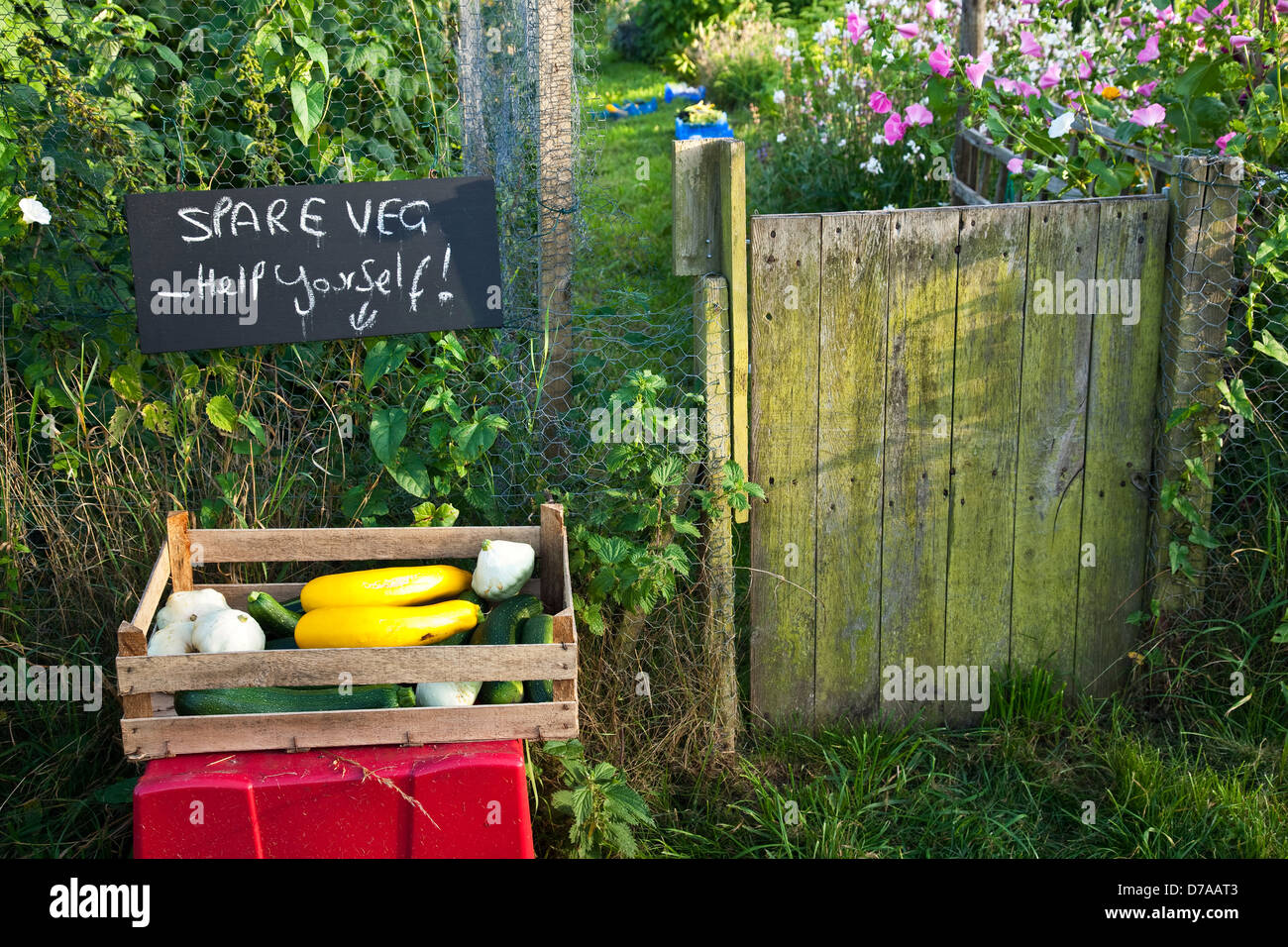 A box of vegetables and sign offering spare produce at an allotment ...