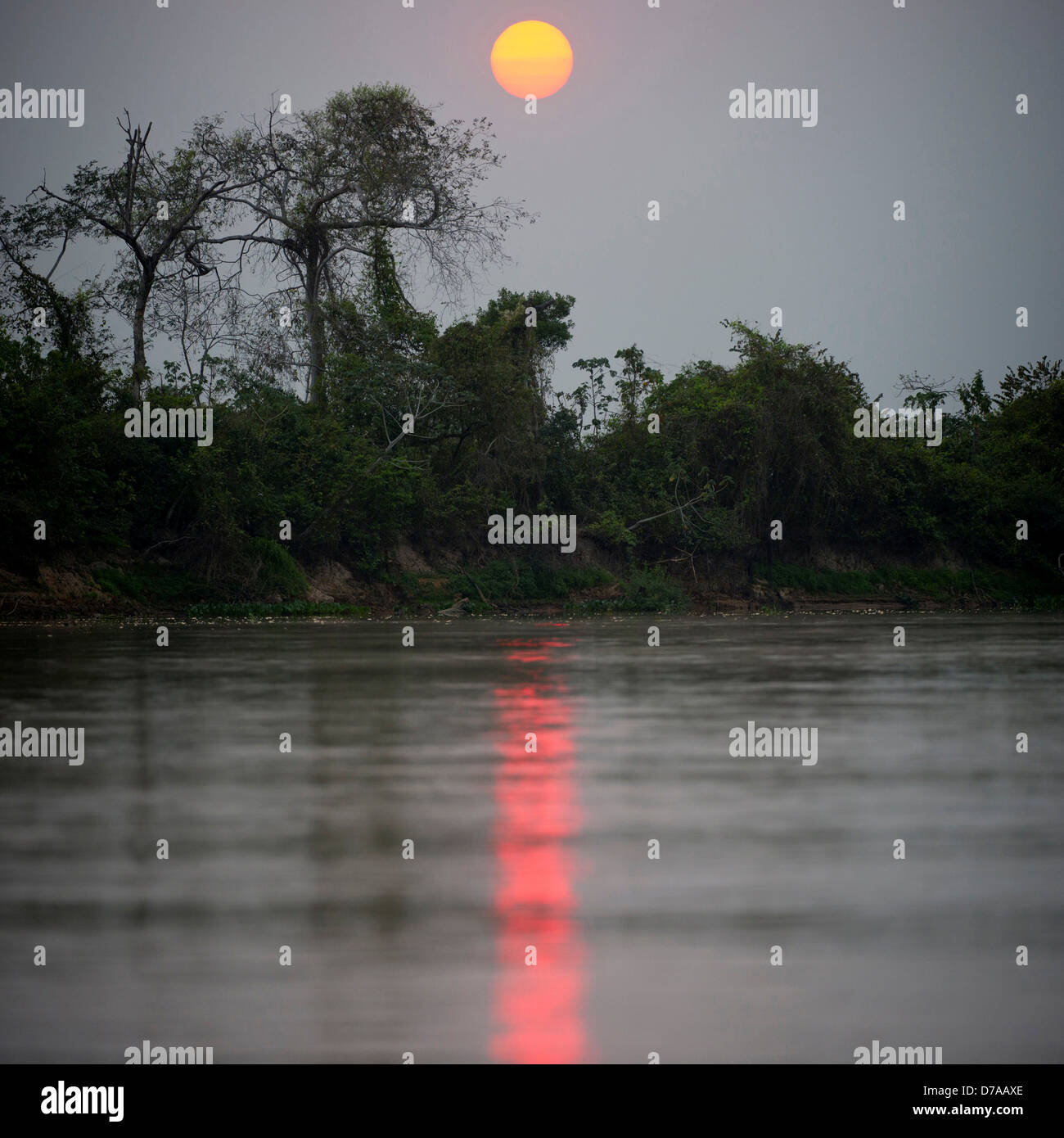 Sunrise on Cuiaba River Pantanal Wetlands Brazil Stock Photo - Alamy