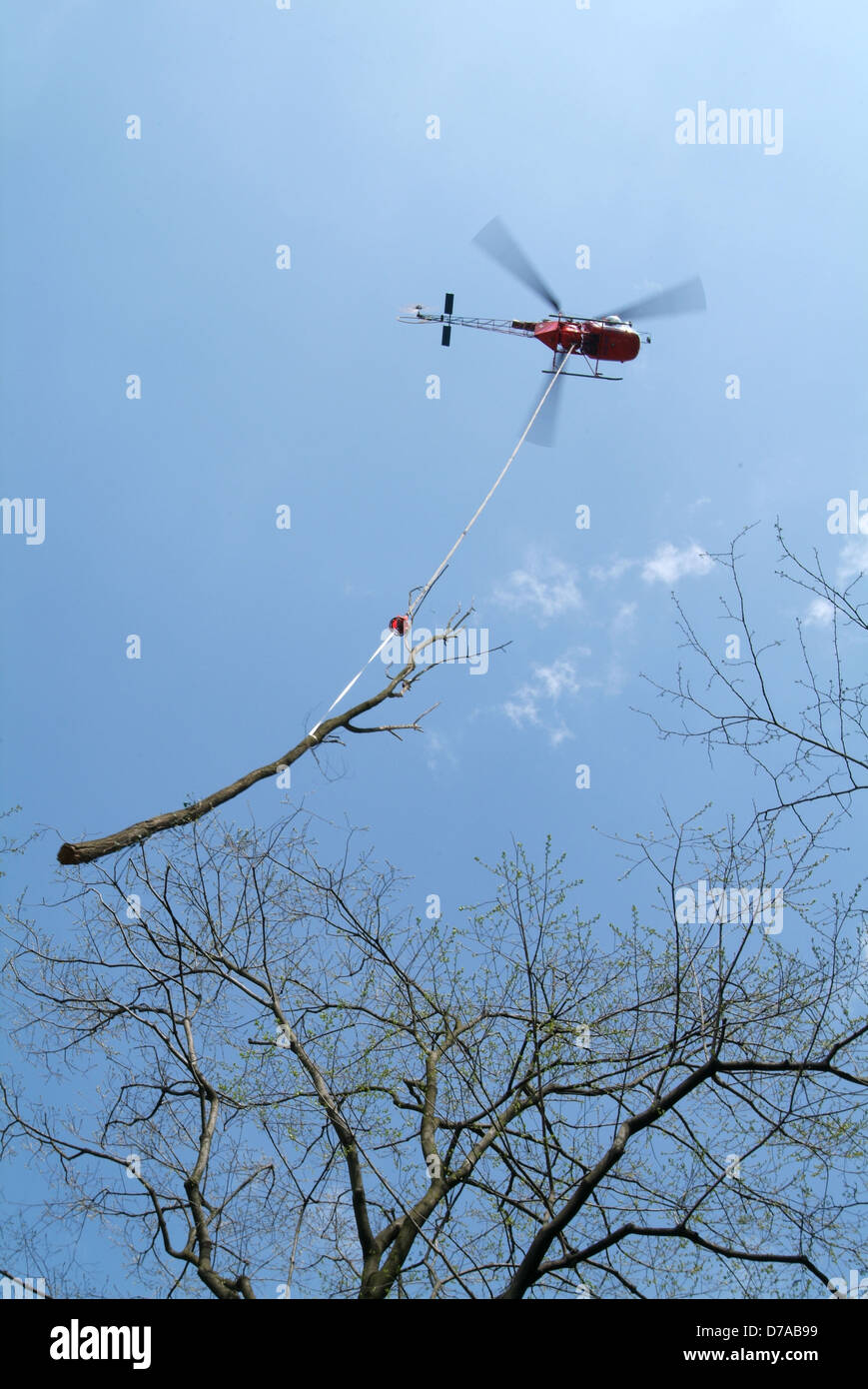 Helicopter trees hi-res stock photography and images - Alamy